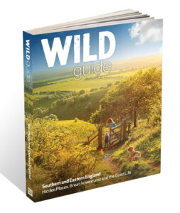 Wild Guide book - Guide to the South West