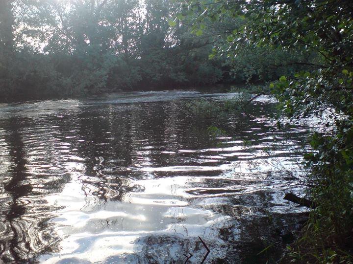 Island Picnic site Usk | Wild Swimming - outdoors in rivers, lakes and ...