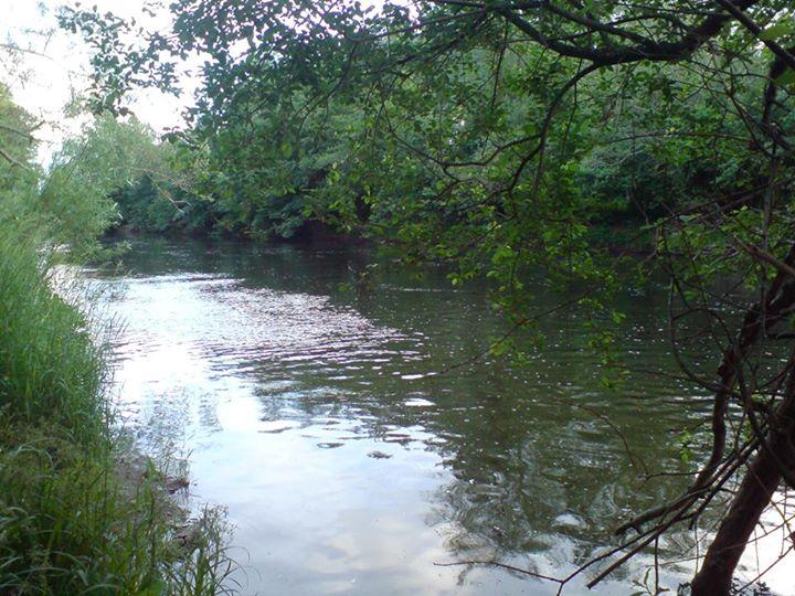 Island Picnic site Usk | Wild Swimming - outdoors in rivers, lakes and ...